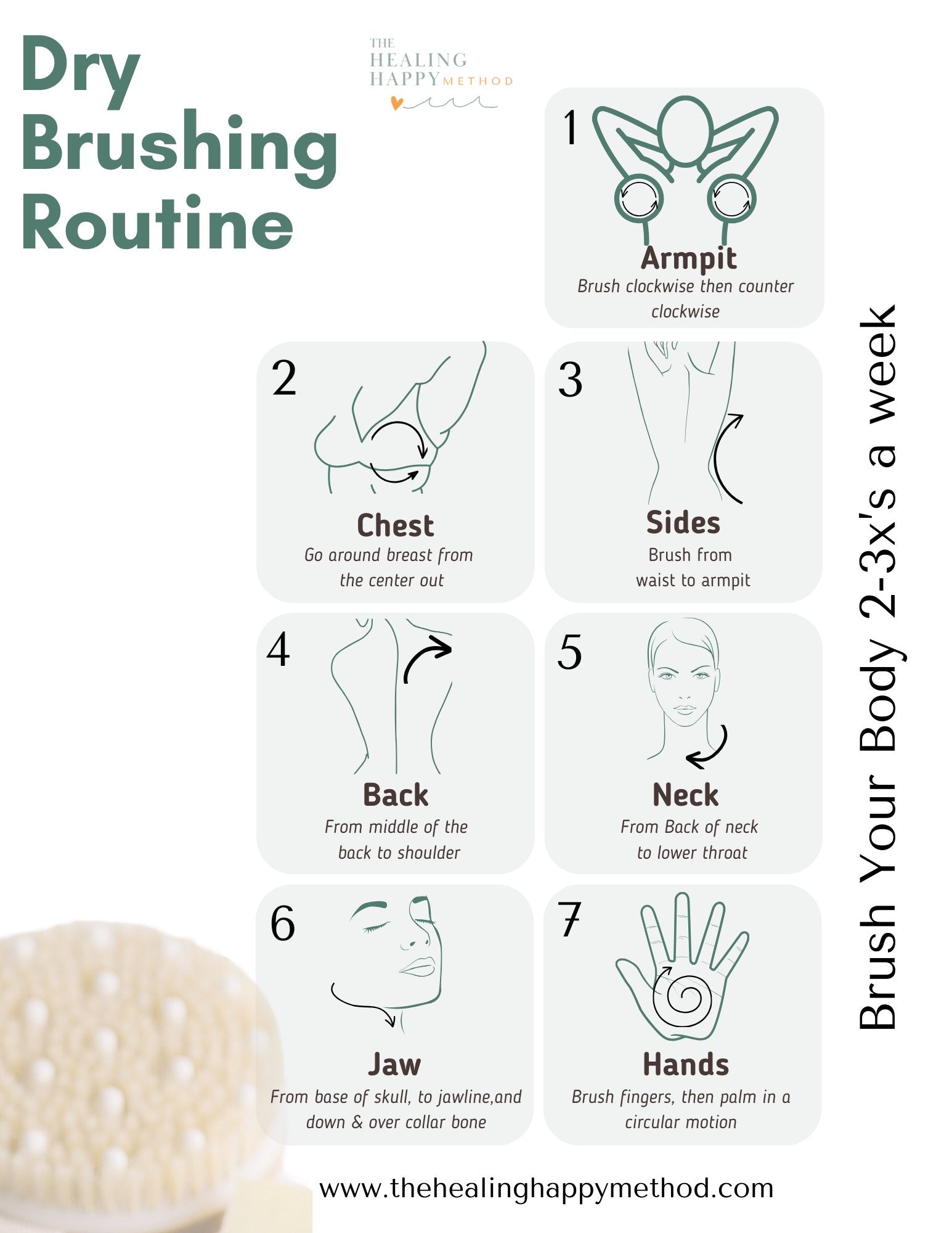 Laminated Full-Body Dry Brush Instruction Chart – The Healing Happy Method